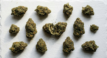 CBD With Low THC: 2026 Strains, Benefits & Legal Guide | Hurcann