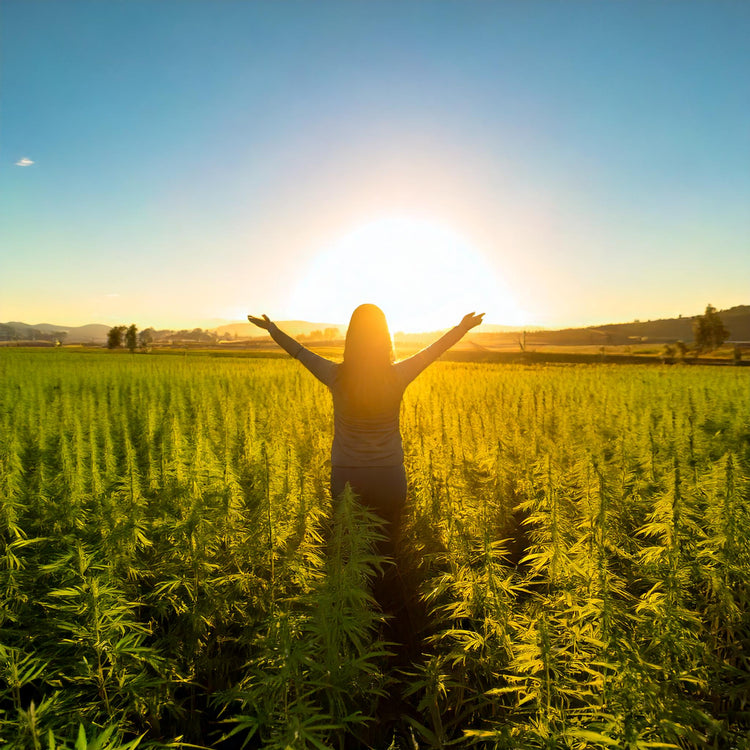 Our Team – Hurcann