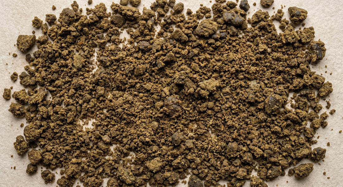 Wholesale Moroccan CBD Hash | Bulk CBD Hash | Hurcann