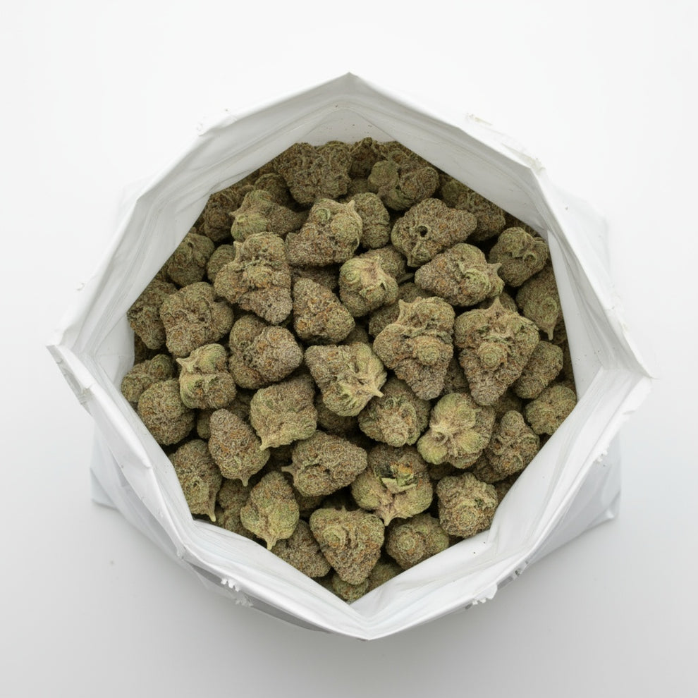 Plant Sherb THCA Hemp Flower – Indica Dominant (AA-Grade)- Wholesale ...